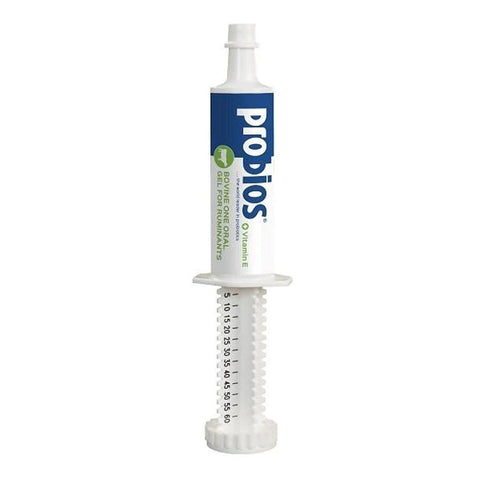 Probios® Equine One Oral Gel by Vets Plus – Cox Ranch Supply