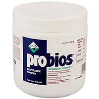 Probios® Dispersible Poweder - Multi Species Probiotic – Cox Ranch Supply
